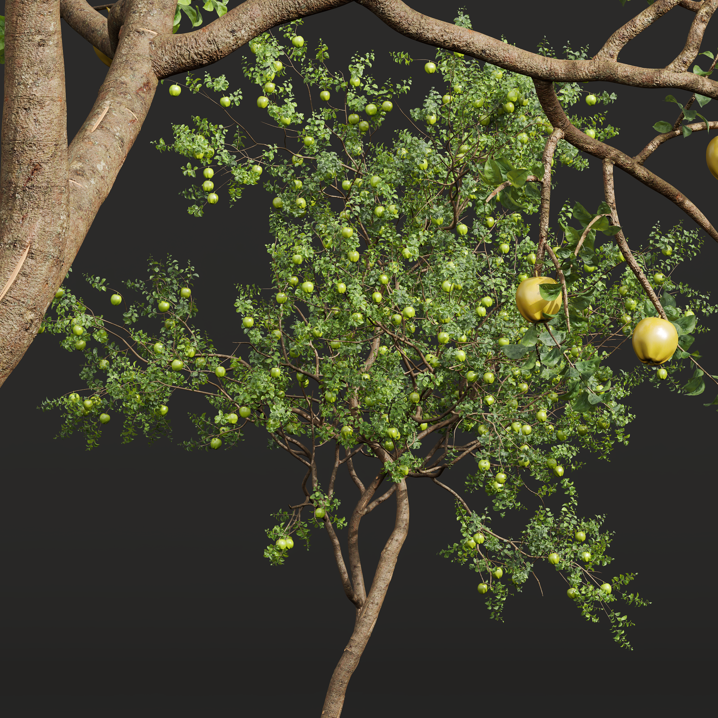 New Plant High detail Malus Pumila Apple Green - Tree - 3D model